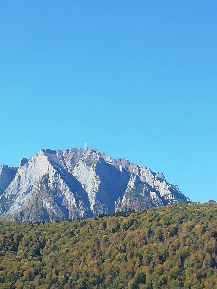 Cazare 3 Rooms Apartment Azuga - Predeal