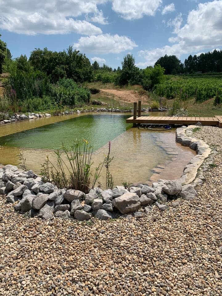 Eco Gîte 3 éToiles Au Cœur Des Vignes 2/3 Pers. - Labeaume