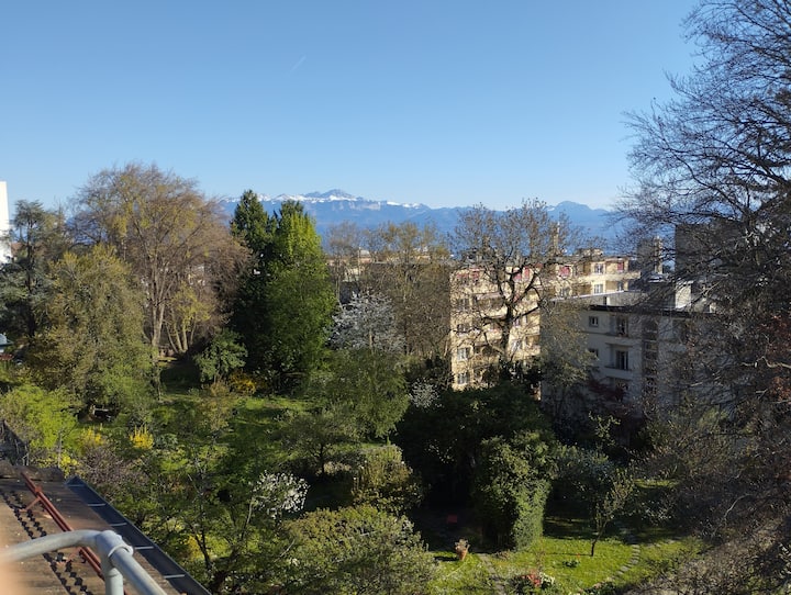 Chambre Mansardée, Lumineuse Dans Bel Appartement - Lausanne