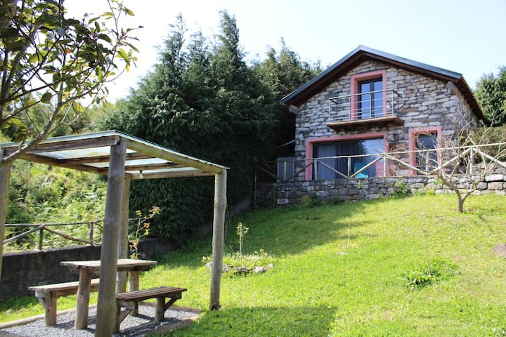 Casa Do Cedro - Machico