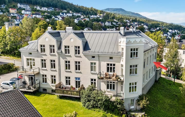 Vakker Leilighet Med Alt Du Trenger, Nær Sentrum - Drammen