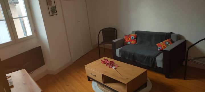 Appartement Centre Historique Auch - Auch