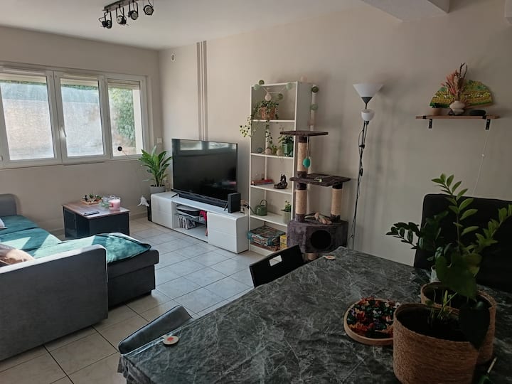 Logement Cocooning
Jardin Zen Asie - Le Pontet