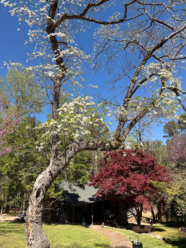 Mountain Vibes Log Cabin - Wake Forest, NC