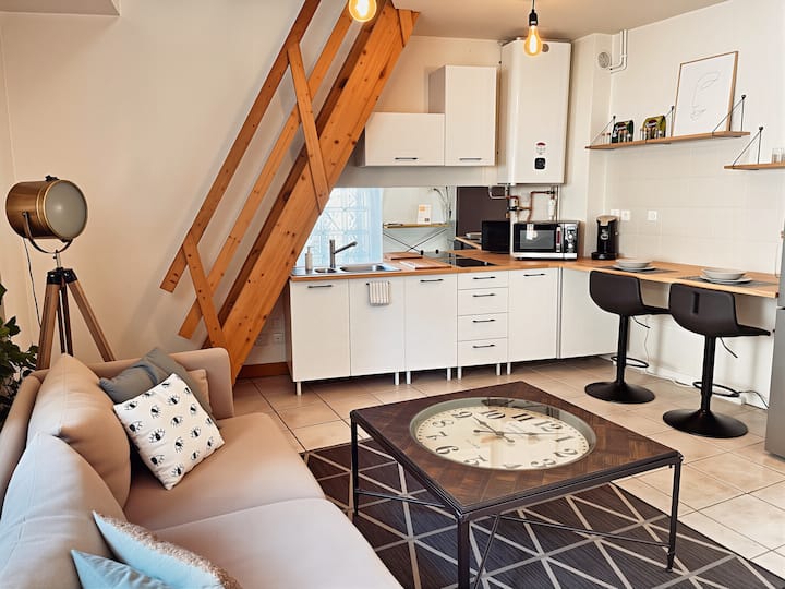 L'ancien Moulin Du Grand Annecy - Annecy