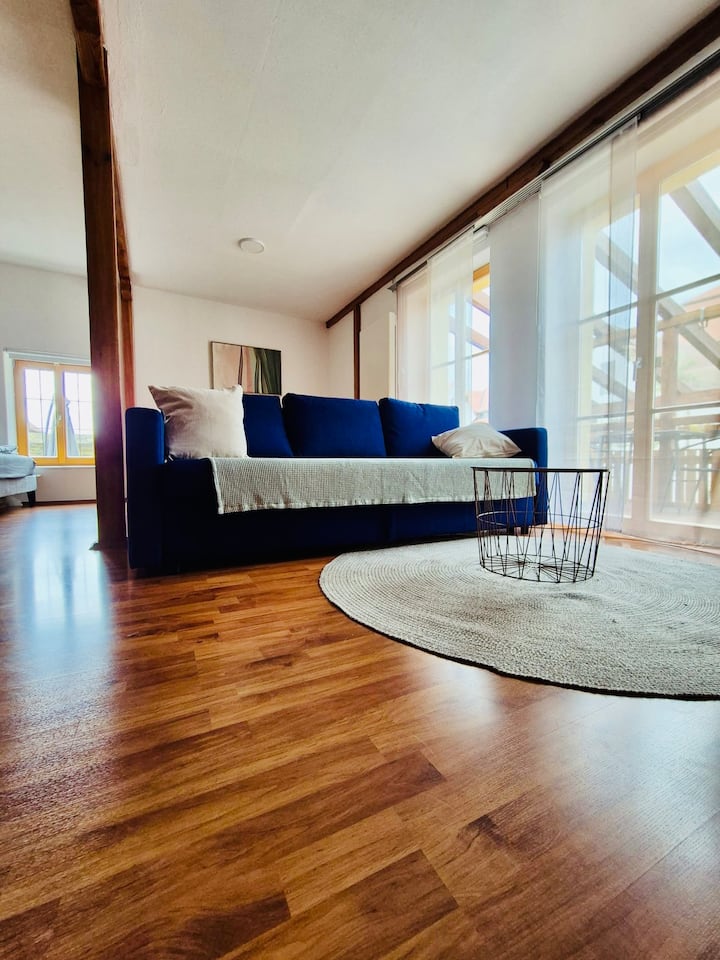 Altstadt Apartment Mit Terrasse - Iphofen