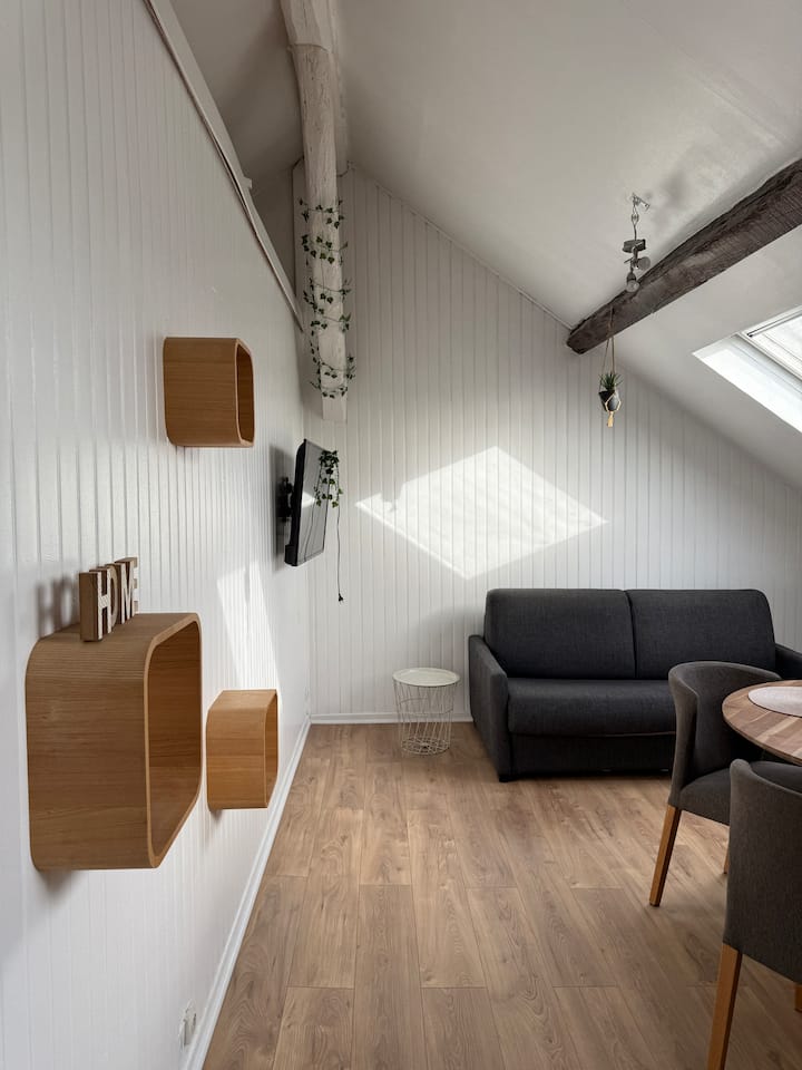 Charmant T2 Près De Disneyland - Lagny-sur-Marne