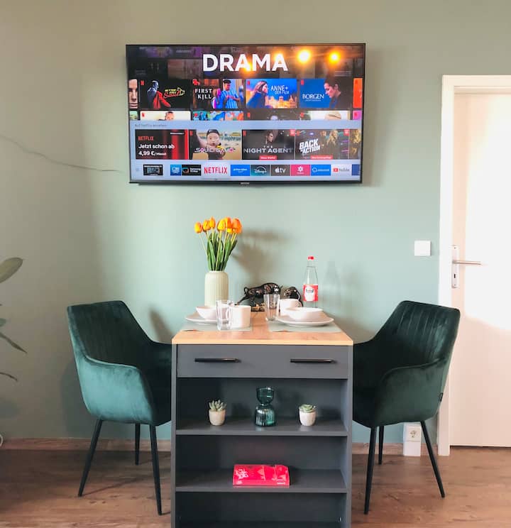 Comfortable City Appartement - Dresde