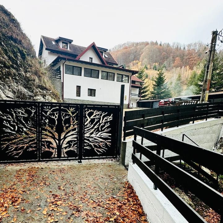Destinația Pentru Liniștea Ta!
Eden Chalet - Transylvania