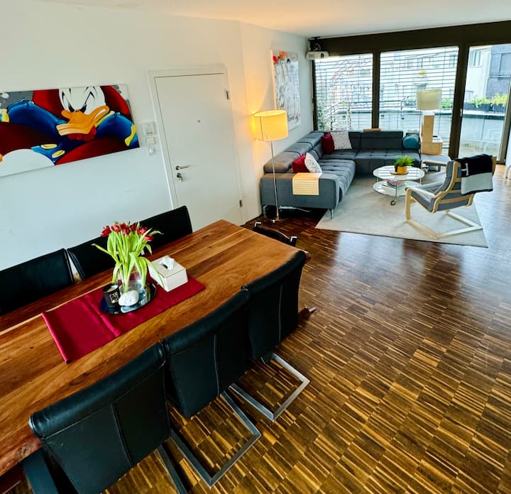 Penthouse 5.5 Room, 3 Terraces, Nearcenter & Rhine - Basel