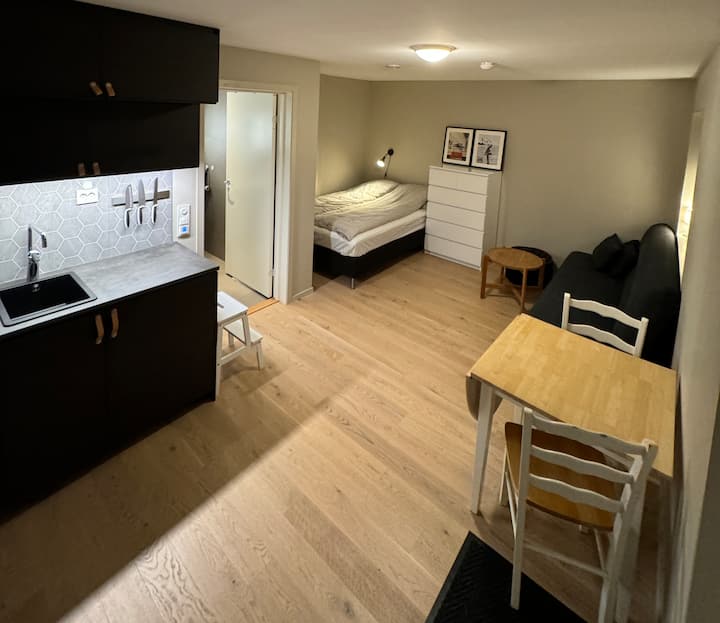 Sentrumsnær Studioleilighet - Tromsø