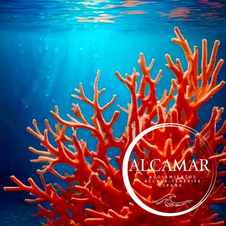 Alcamar Room “Coral Haven” - Tenerife