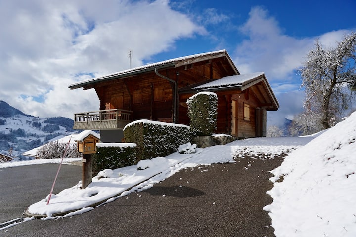 Ski Chalet Boa Vista - Manigod - Manigod