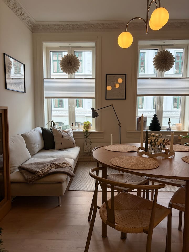 Tradisjonell, Klassisk Og Sentral Leilighet I Oslo - Oslo