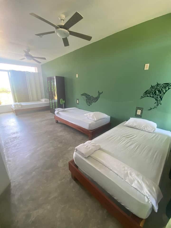 Hostel Rooms Close To Ocean. - Panama