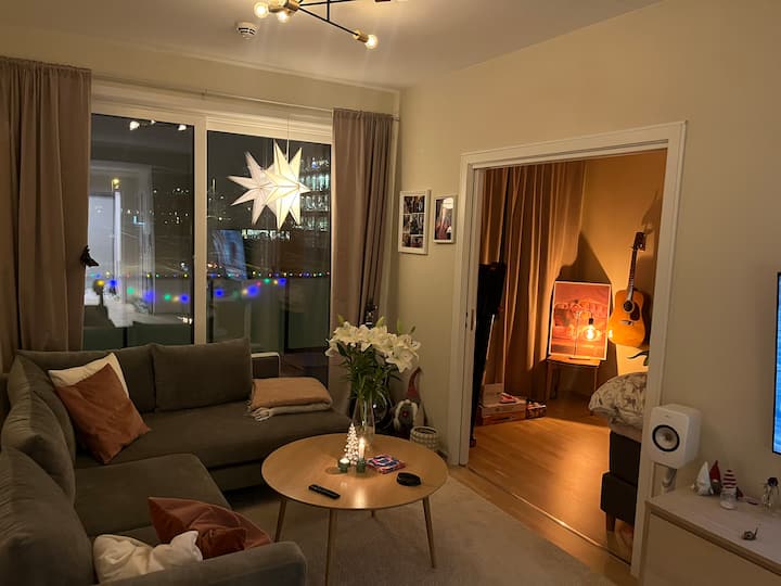 Leilighet Sentralt I Trondheim - Trondheim