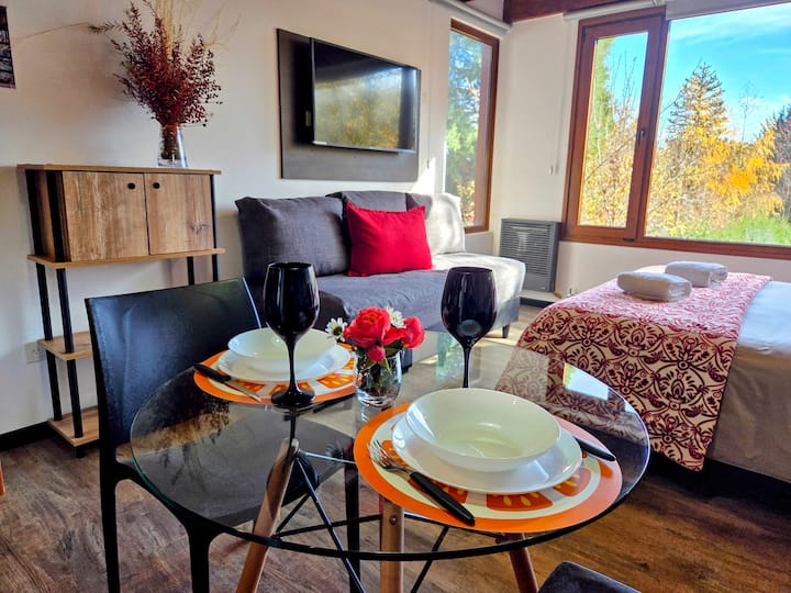 Open-plan Space, Good View, Excellent Wi-fi - San Carlos de Bariloche