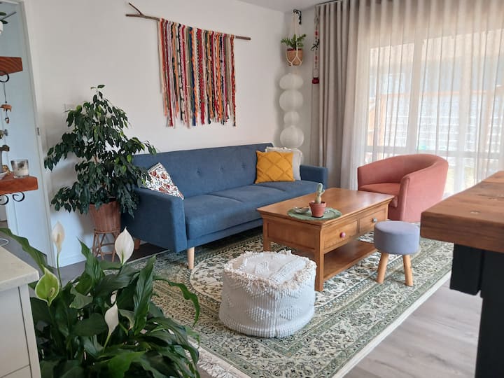 Colorful Latin-inspired Home In Papamoa Beach - Papamoa
