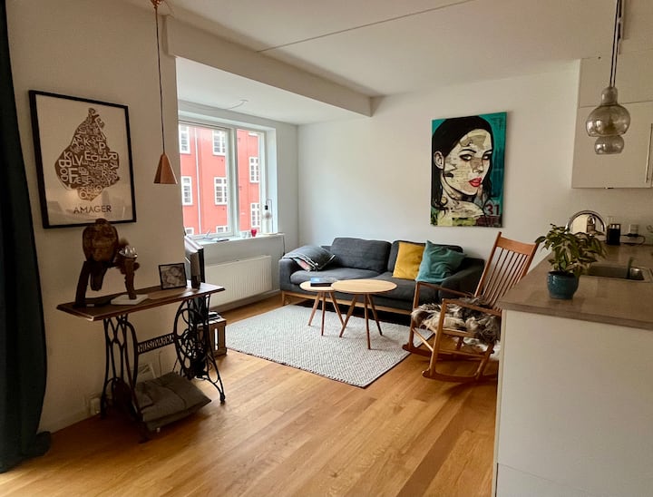 Bright, Spacious Apartment. Close To City Centre. - Copenhagen