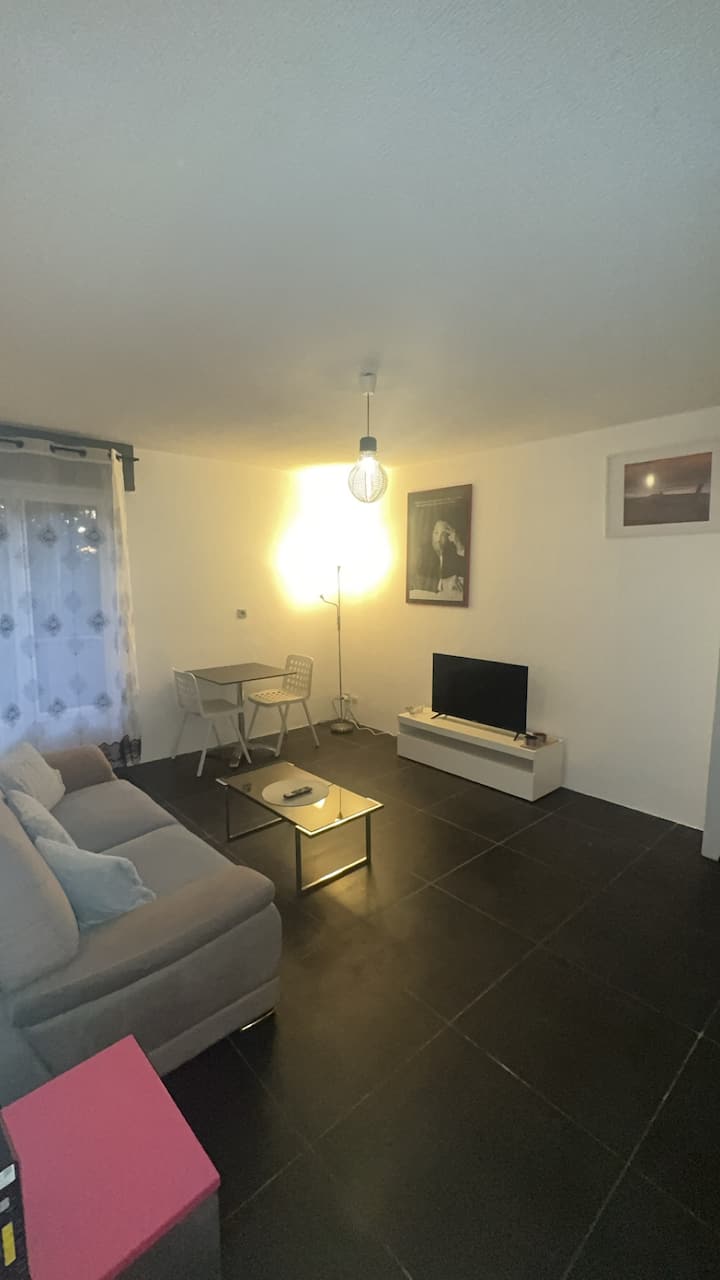 2 Pièces De 53m2 Avec Parking Privé Gratuit - Mulhouse