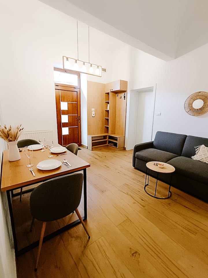 Flyresidence 2 - Arad