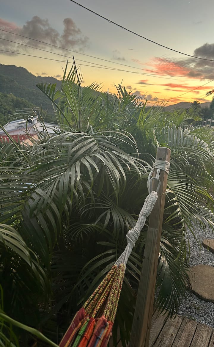 Bungalow Canne Deau, Avec Jacuzzi. - Martinique