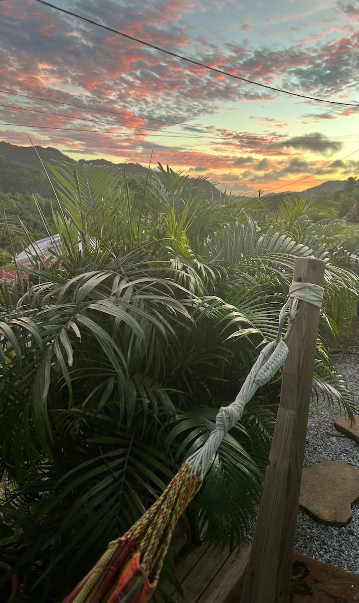 Bungalow Canne Deau, Avec Jacuzzi. - Martinique