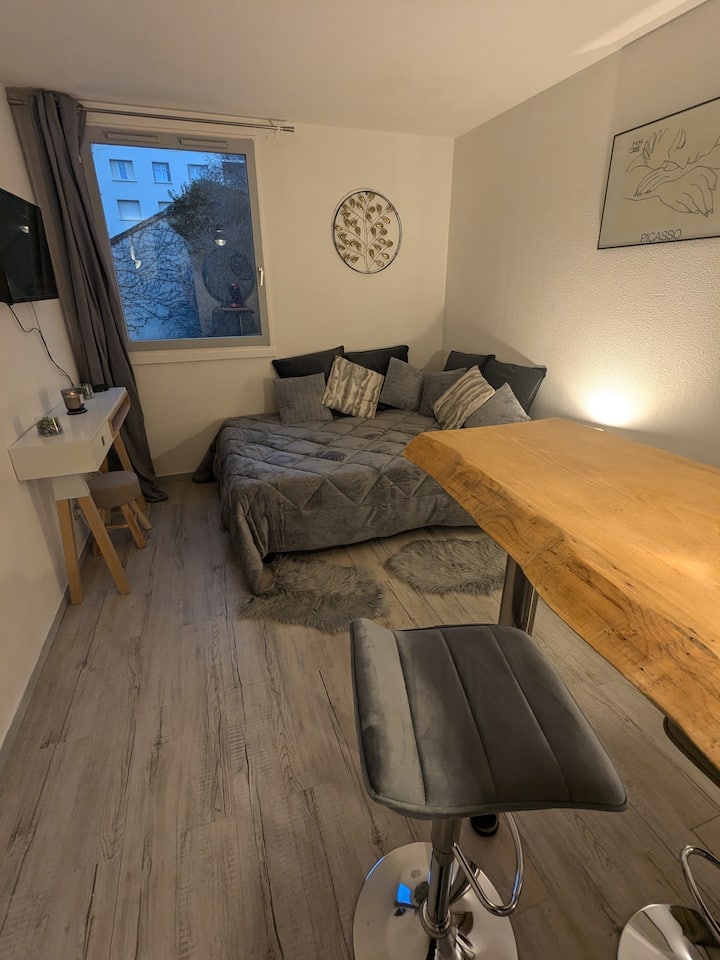 Studio Cosy 1/2 Voyageurs - Lyon