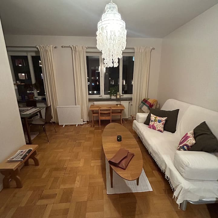 조용하고 아늑한 아파트, 사우나와 테라스가 있음 - Stockholm