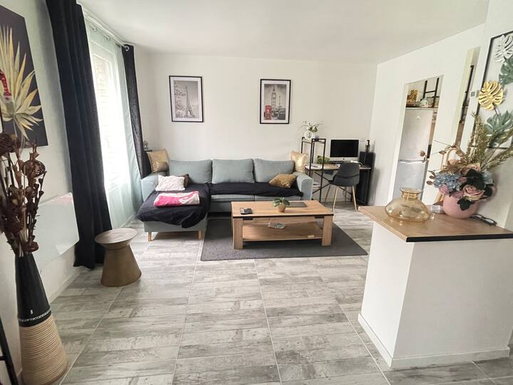 Maison Avec Cour Et Jardin - Romilly-sur-Seine