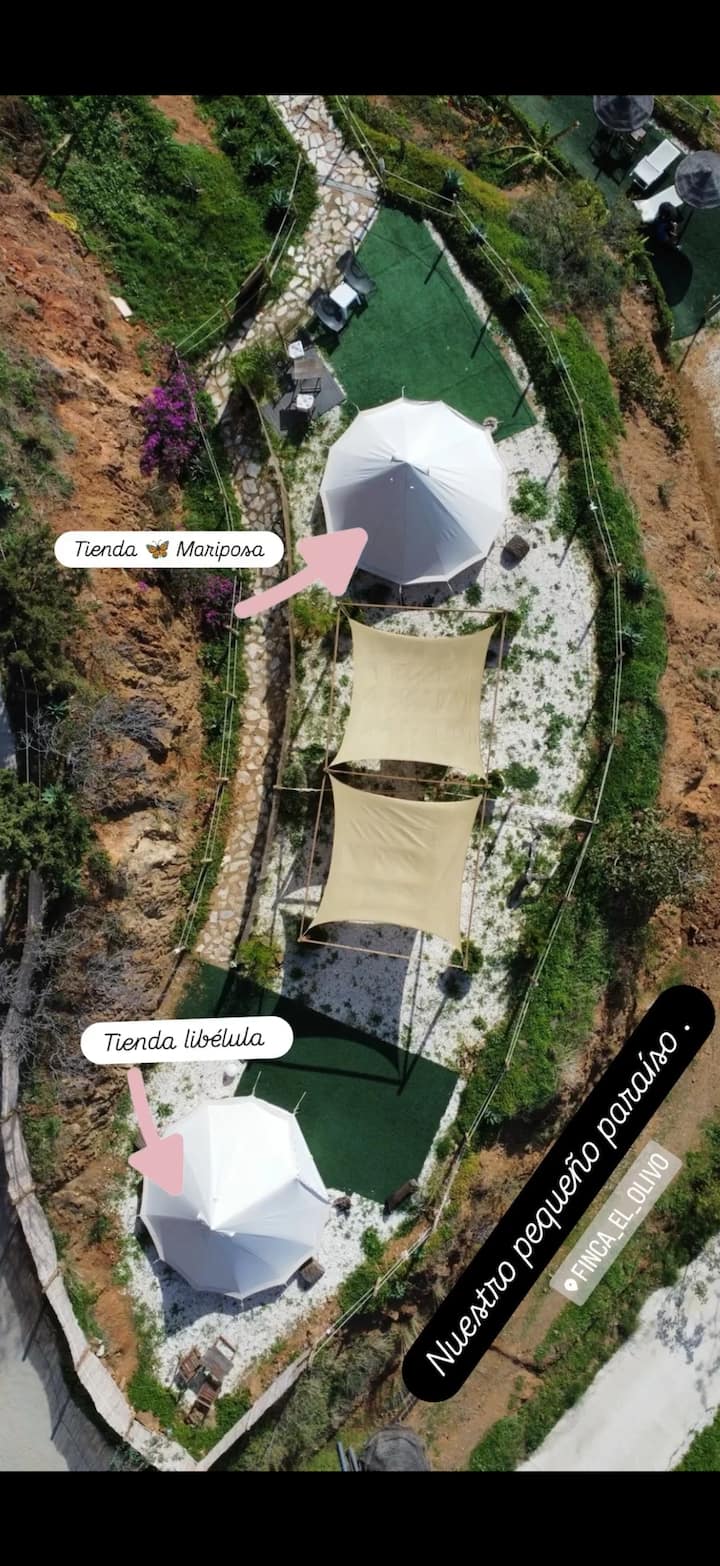 Glampin Finca El Olivo Tienda 2 - Fuengirola