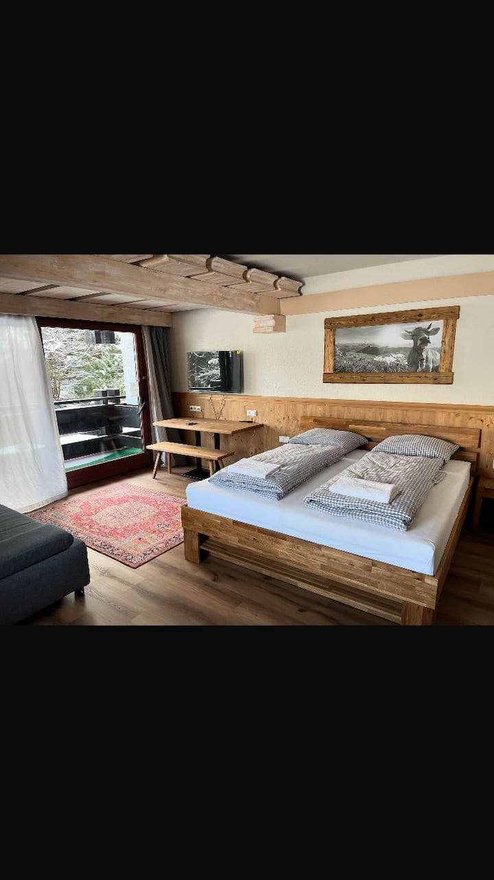 Newly Renovated Room 012 - Seefeld
