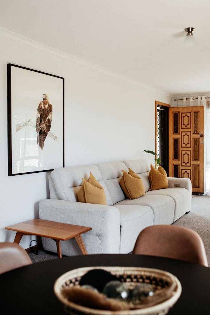 Studioness. - Scamander