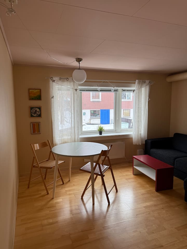 Appartment In The City Center. Quiet And Calm Area - Tromsø