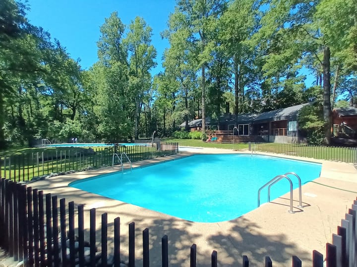 Vista Al Volcán Y Rodeado De Bosque! (#34) - Pucon