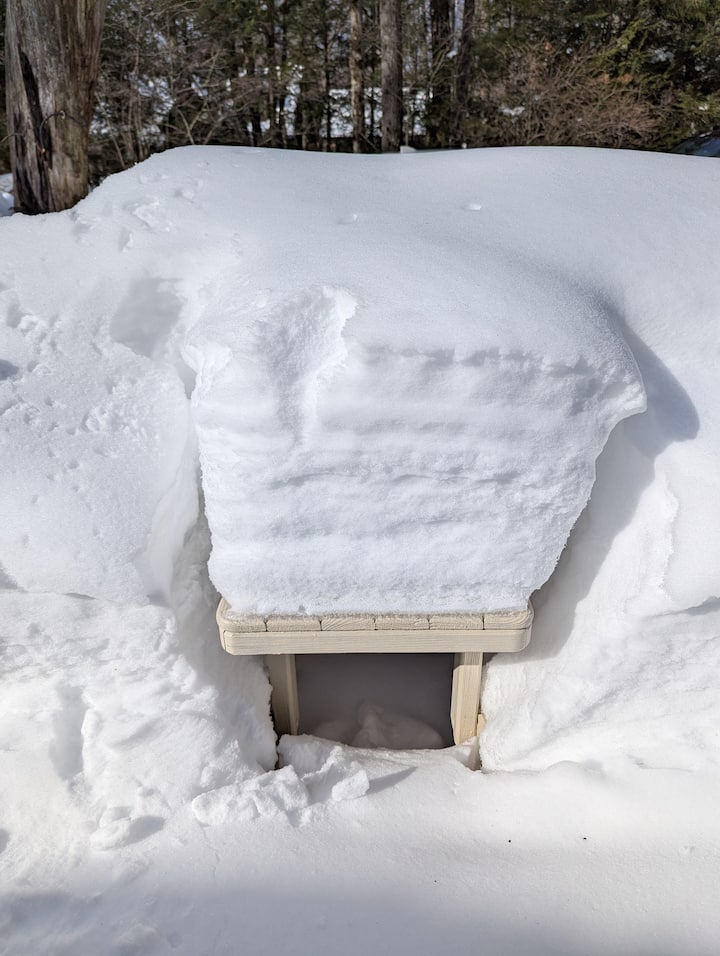 Top Of The Mountain • Snow • Ski • Fire Place - Linn Run State Park, Rector