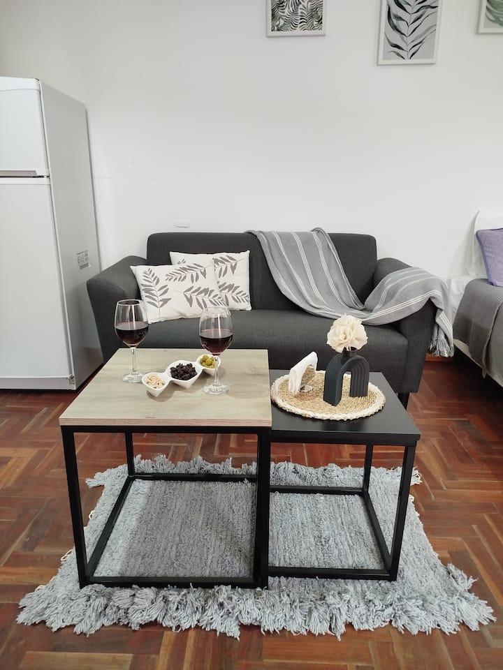 Mendoza Céntrico, Gran Ubicación Y Patio - Mendoza