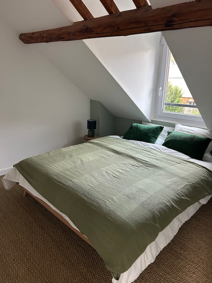 Nouveau Albertille - Honfleur