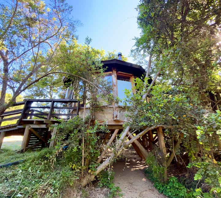 Relajante Loft En El Bosque Bien Ubicado - Constitución