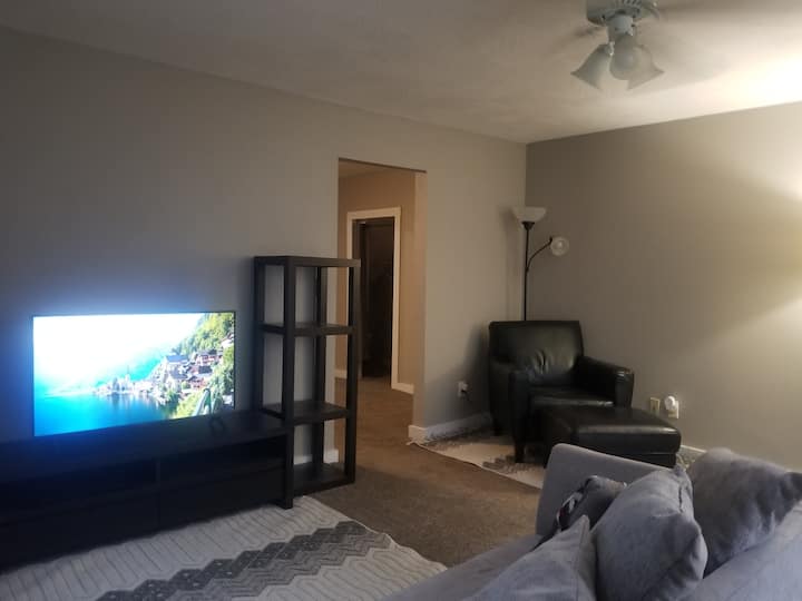 Comfy Apartment Near Downtown - Springfield, MO