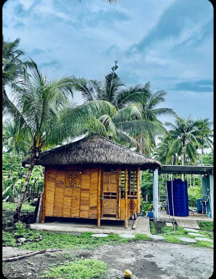 Paradise On A Budget - Dauin