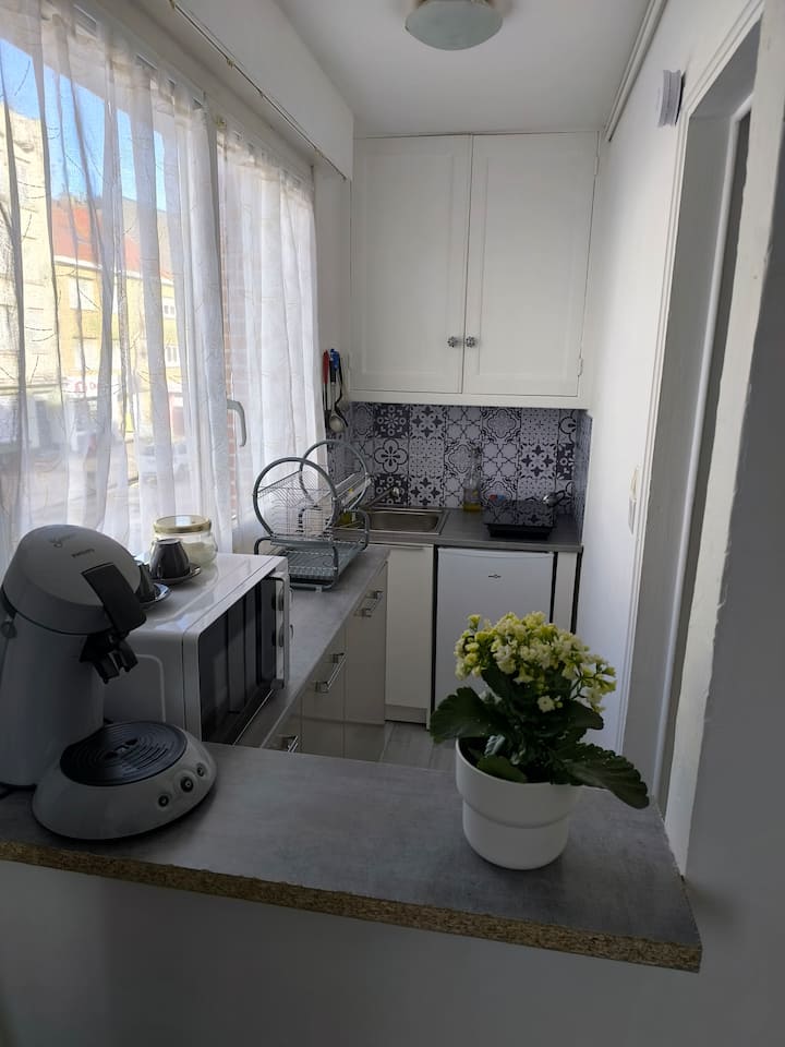 Appart F2 50 M De La Plage - Bray-Dunes