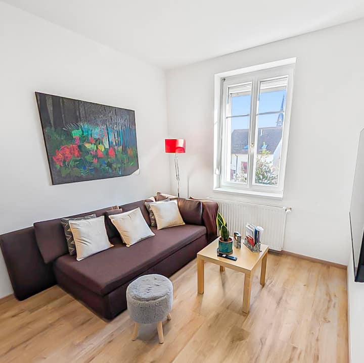 Lumineux Et Accueillant, Proche Strasbourg - Bischheim