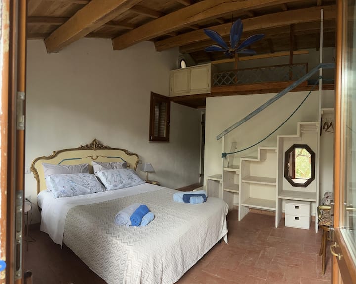 Near Assisi Rooms W/swimmingpool - Assisi