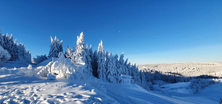 Haus Schneider Fewonr. 14 - Winterberg