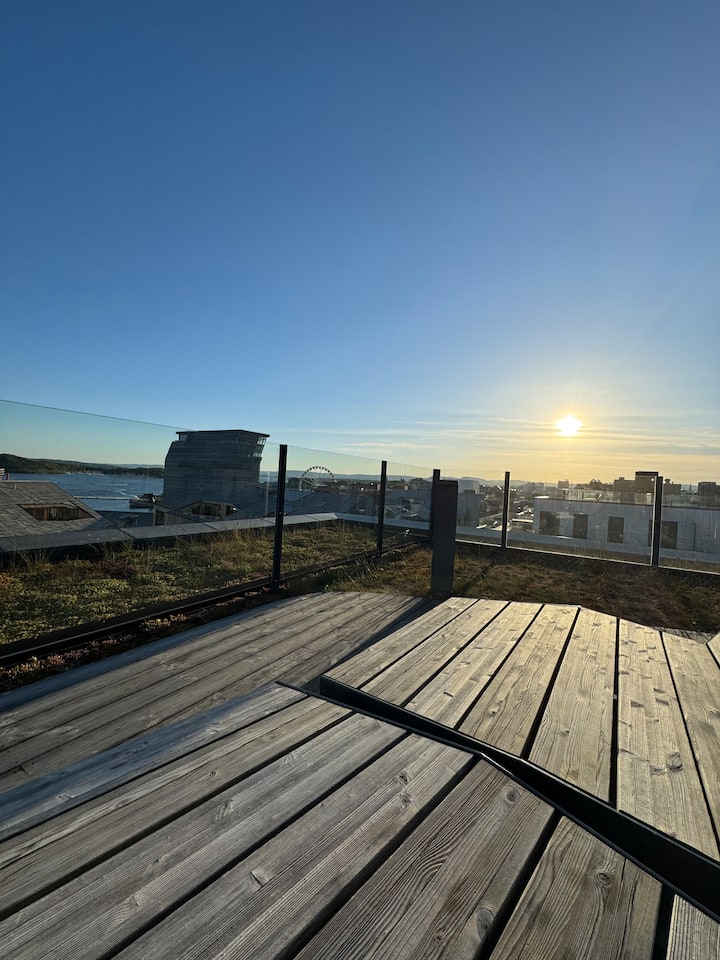 Eksklusiv Leilighet I Sentrum - Oslo