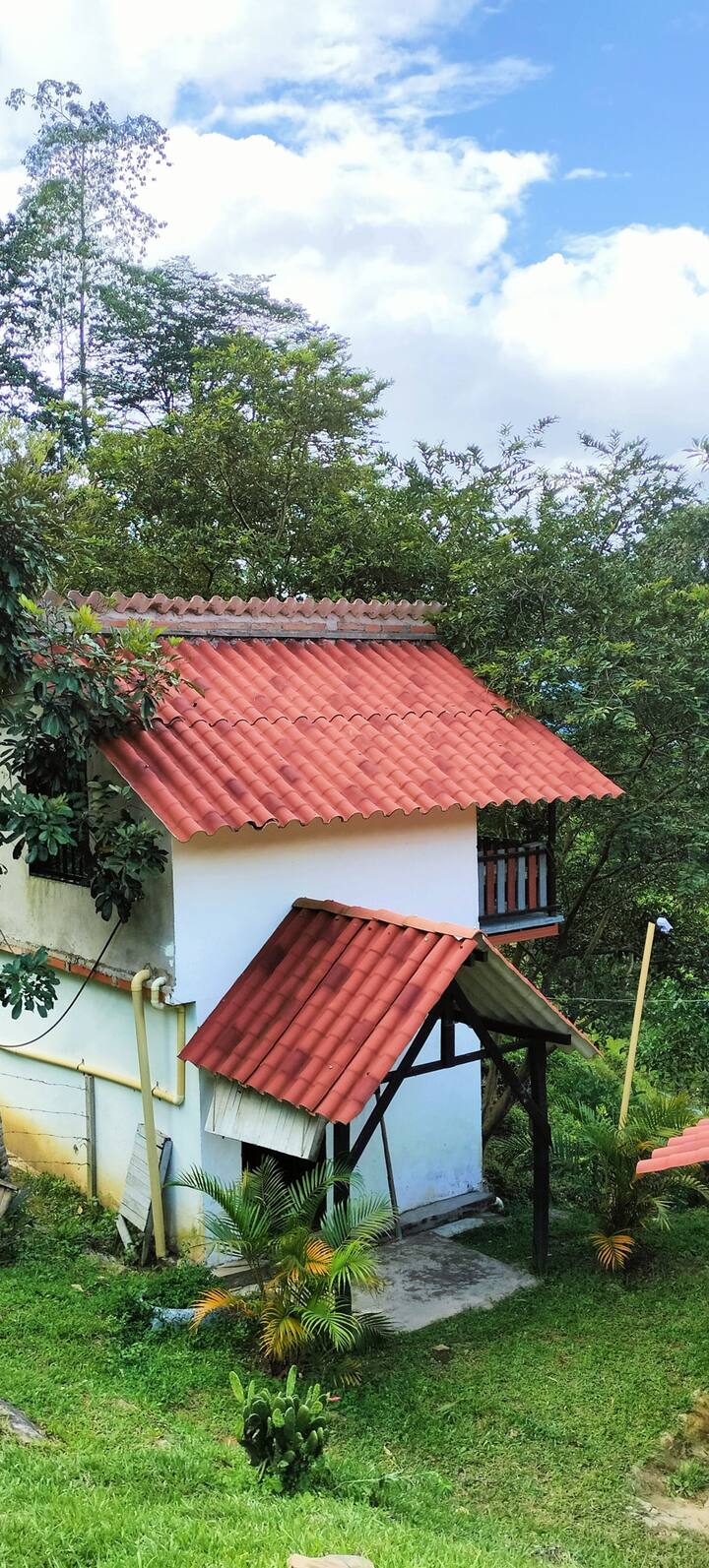 Hermosa Cabaña, Piscina Natural. - Cisneros