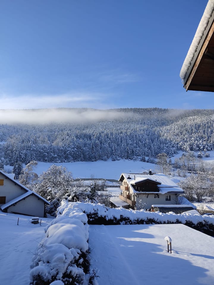 Beau Studio Tout Confort - Villard-de-Lans