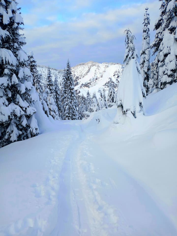 Vacation Away Hottub Fireplace Games Room - Harrison Hot Springs