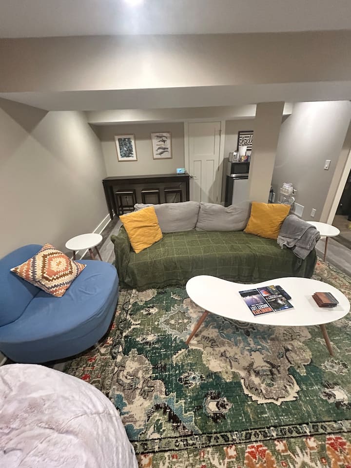 Modern Basement Close To Mississippi - Saint Paul, MN